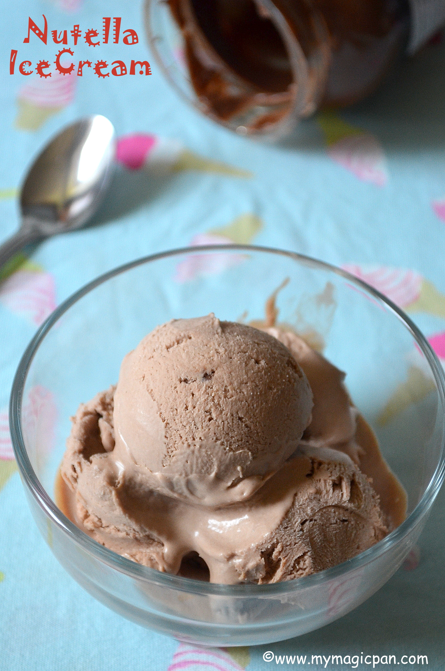 Nutella Ice Cream